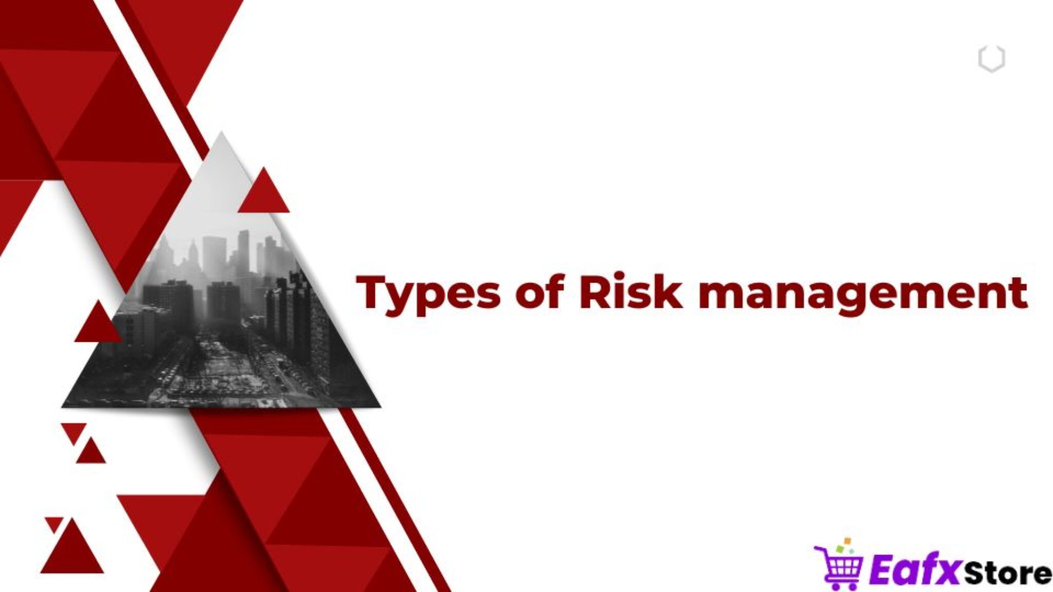 Top 7 Tips for Risk Management for Success in Forex - EA FX Store